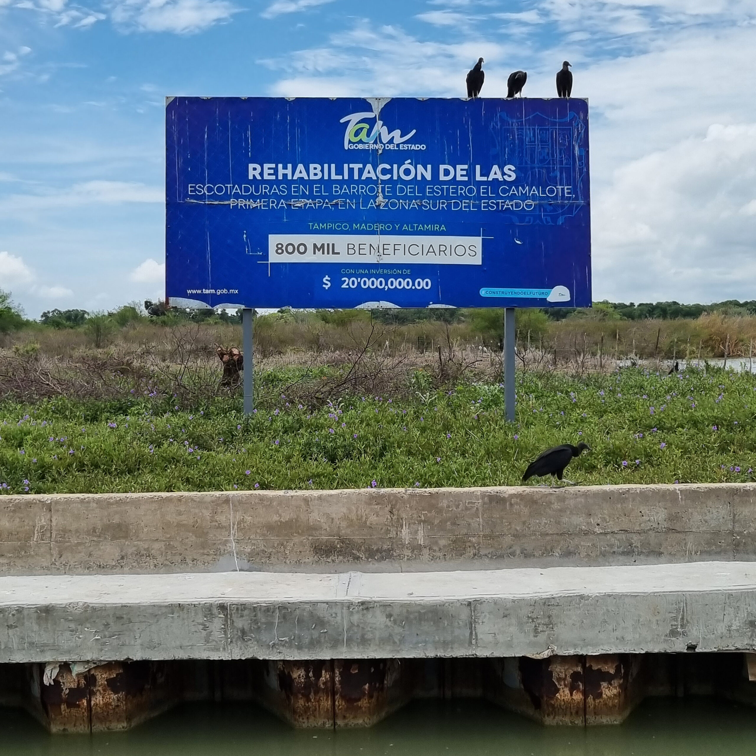 REHABI_1 - ALTHER [Lideres sin Límites]