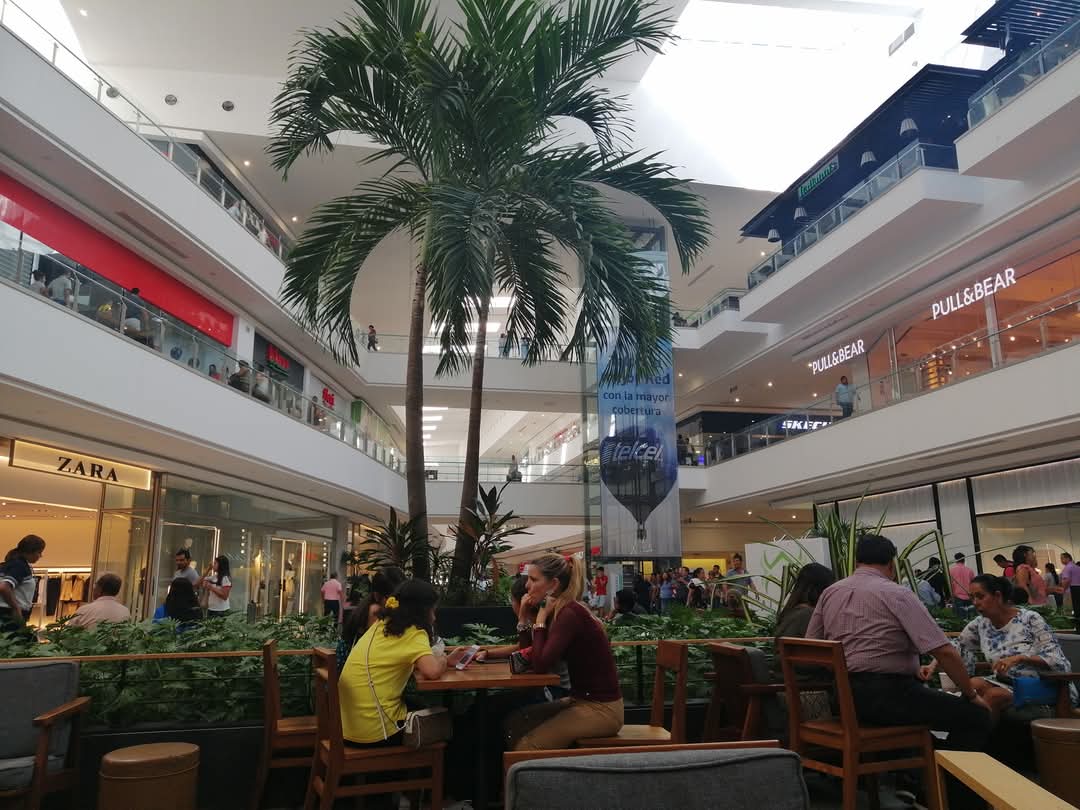 Tamaulipas registra el mayor crecimiento comercial del país - ALTHER ...